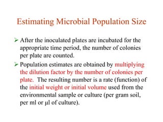 Isolation of microbes.ppt | Chemistry | Science