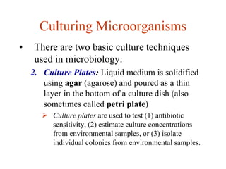 Isolation of microbes.ppt