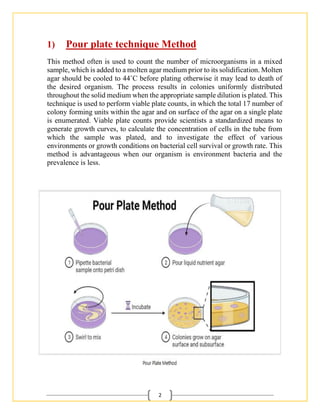 Isolation of Microorganisms for B.Sc. Biotechnology & Botany Sem-3 | PDF