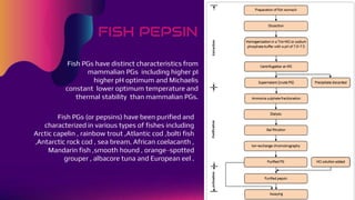Isolation of milk clotting enzymes | PPT