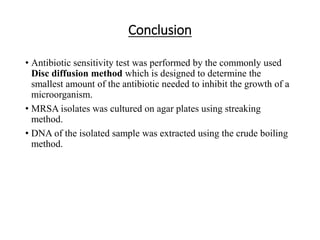 Isolation of mrsa isolates | PPTX