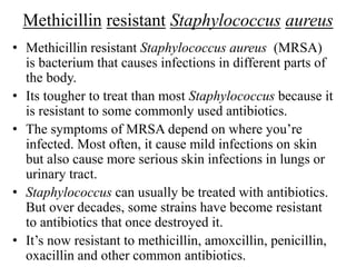 Isolation of mrsa isolates | PPTX | Genetics | Science