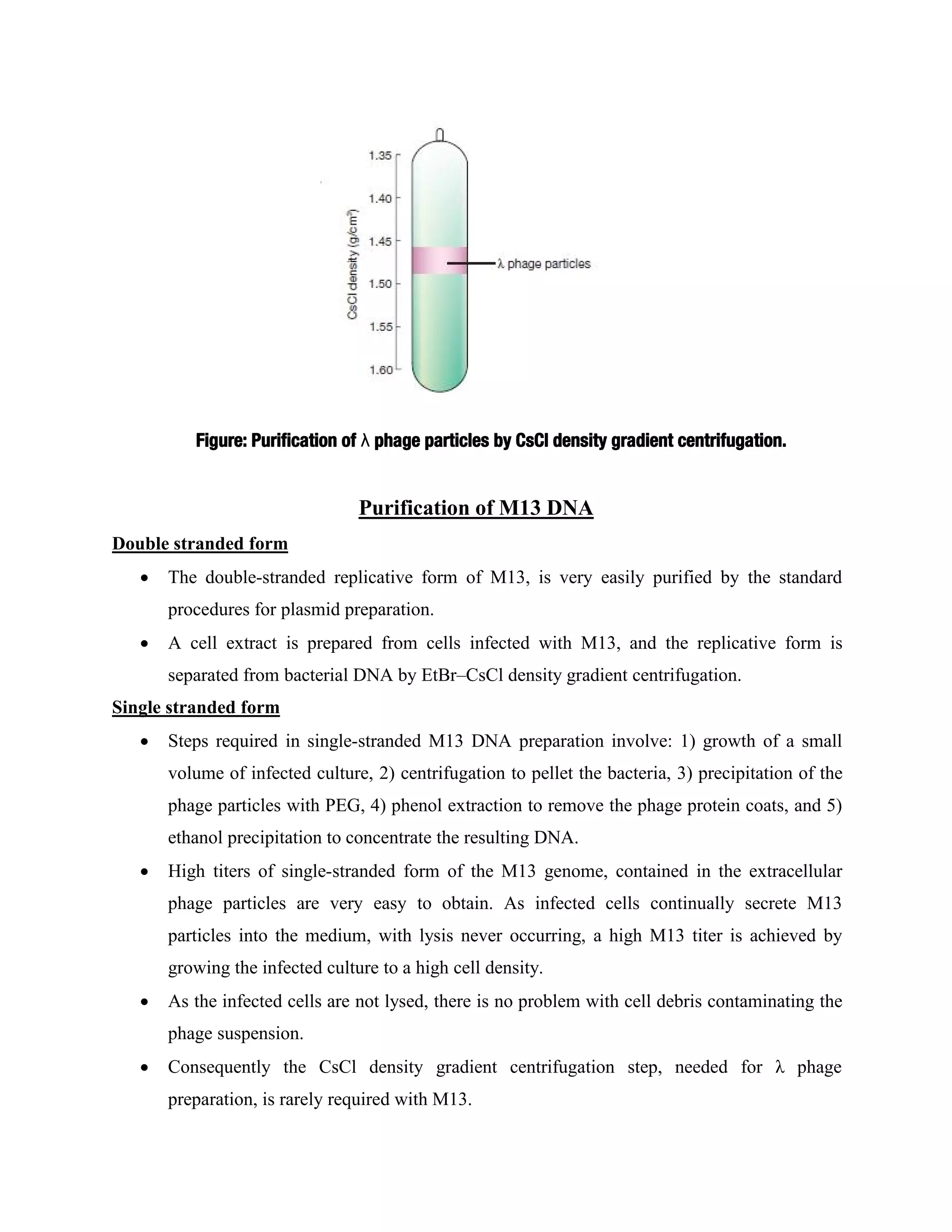 Isolation of DNA | PDF