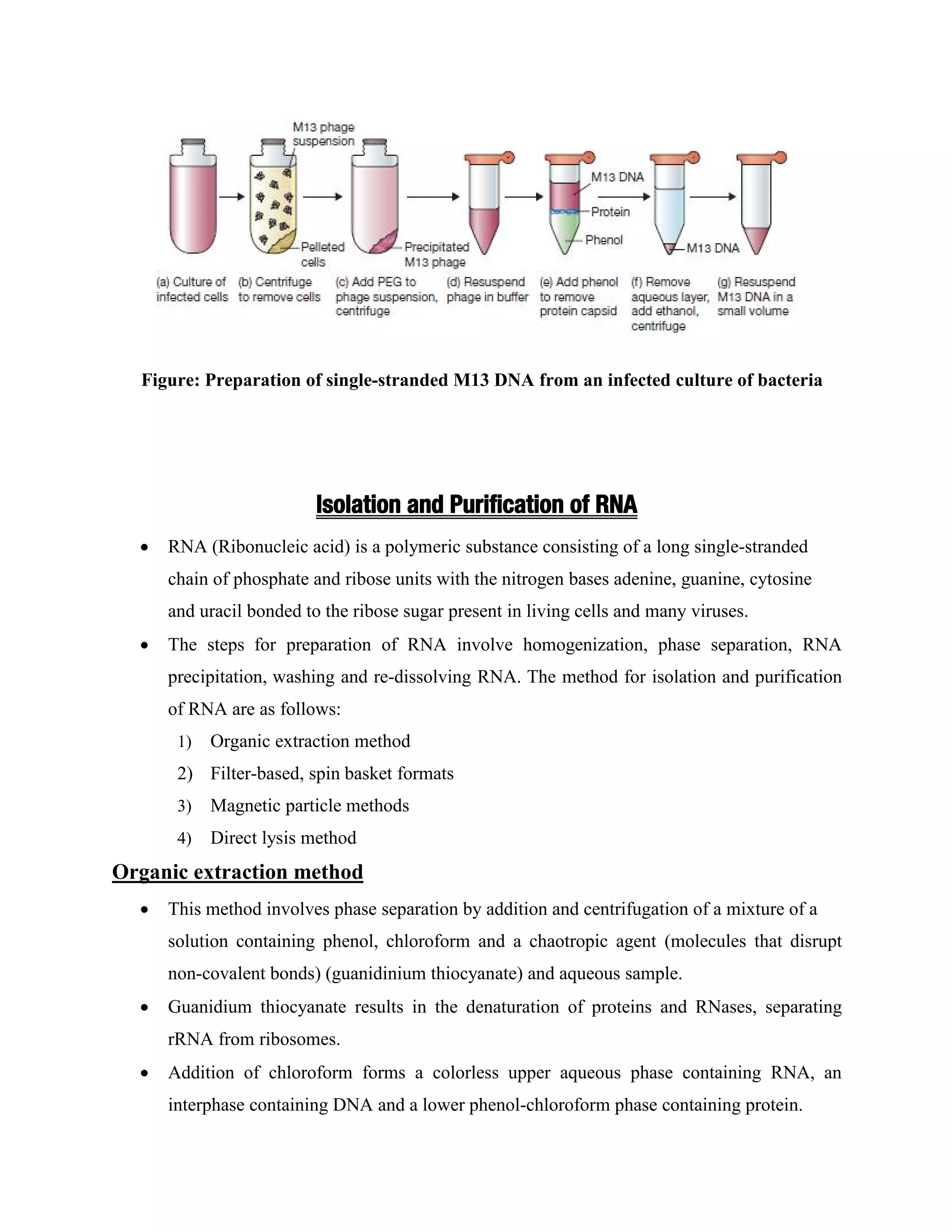 Isolation of DNA | PDF