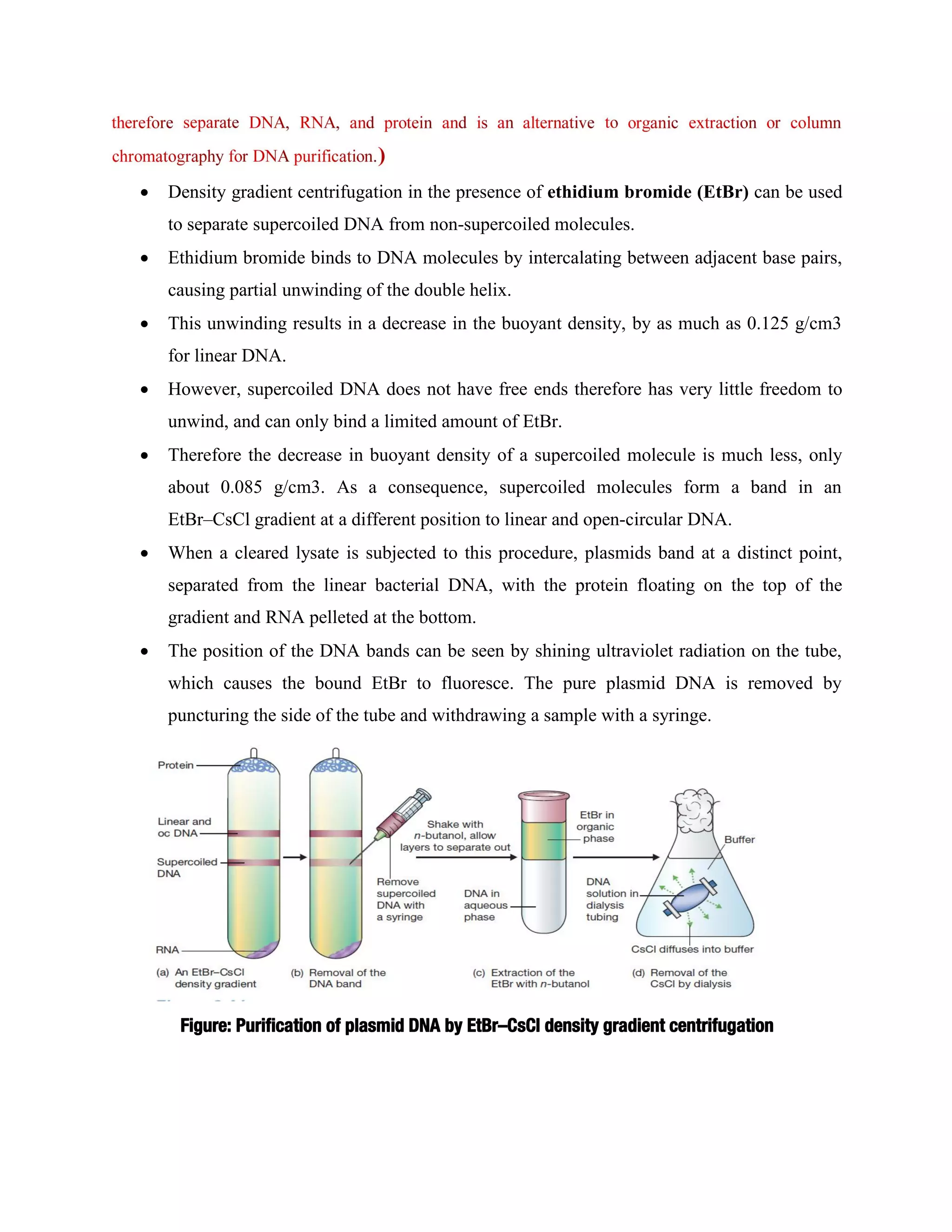 Isolation of DNA | PDF