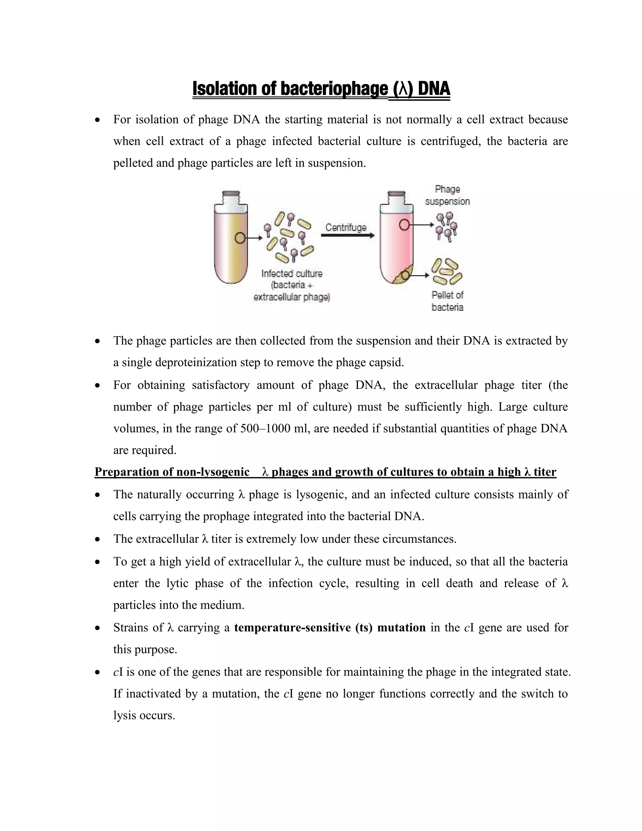 Isolation of DNA | PDF