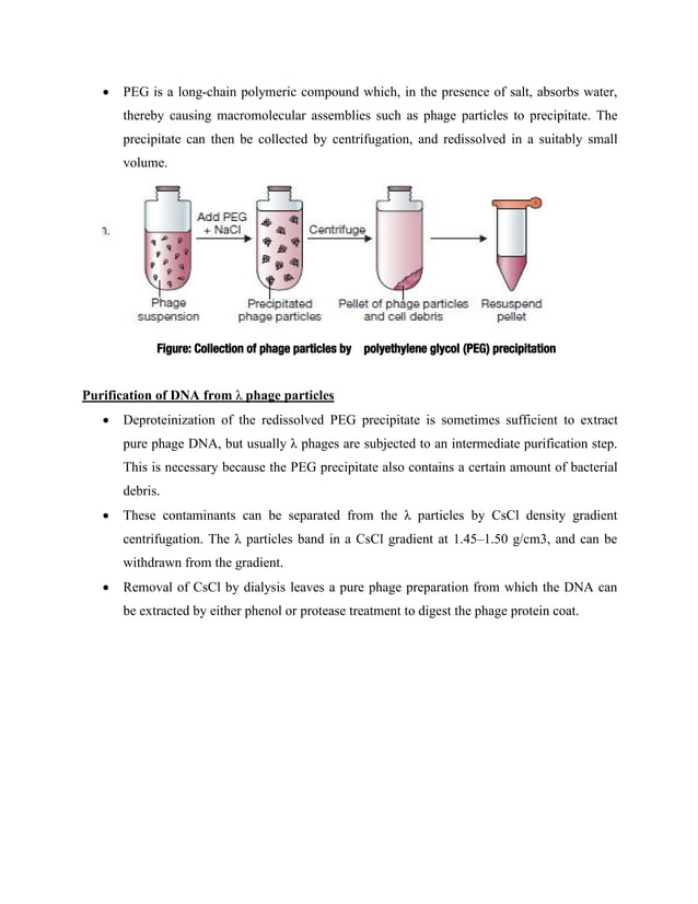 Isolation of DNA | PDF