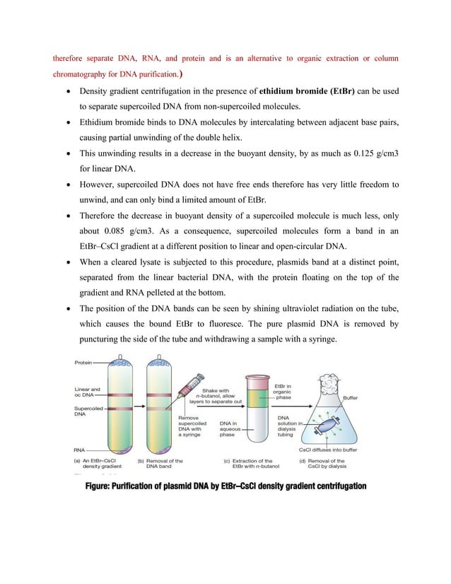 Isolation of DNA | PDF