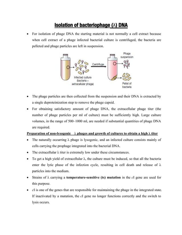 Isolation of DNA | PDF
