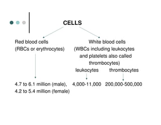 Isolation of pbmc | PDF