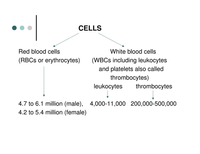 Isolation of pbmc | PDF | Blood Disorders | Diseases and Conditions
