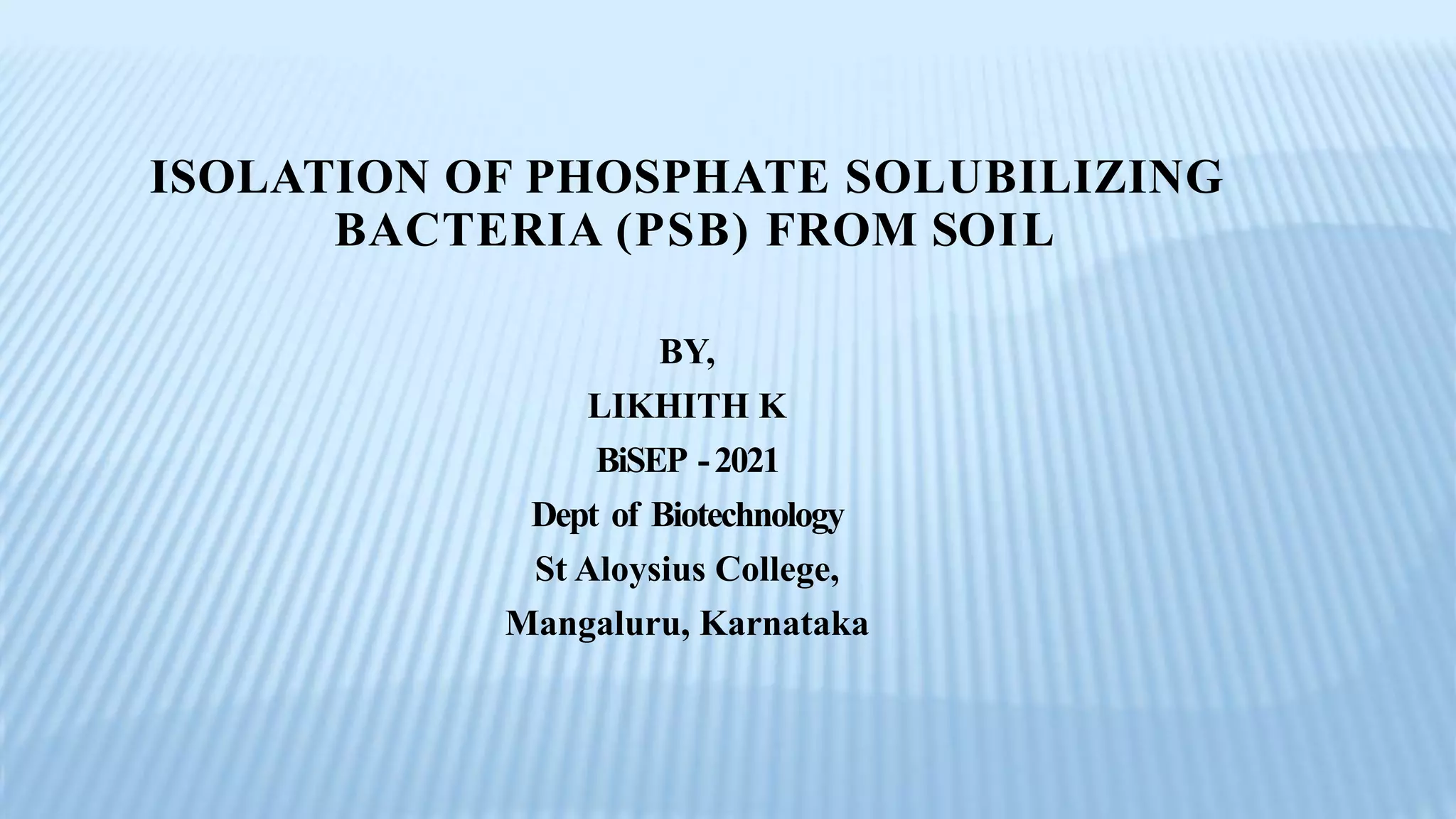 Isolation of phosphate solubilizing bacteria (PSB) from soil Likhith K | PPTX