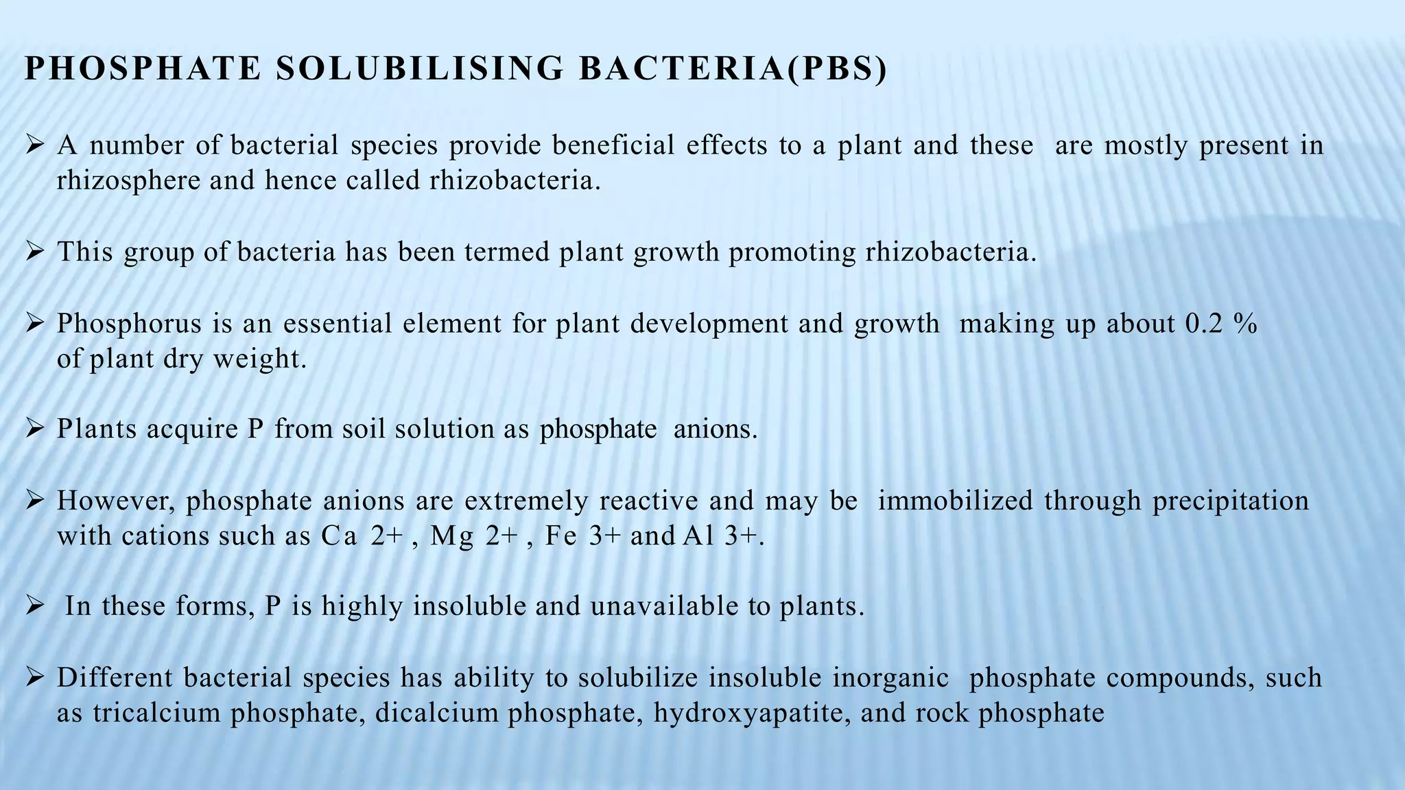 Isolation of phosphate solubilizing bacteria (PSB) from soil Likhith K ...