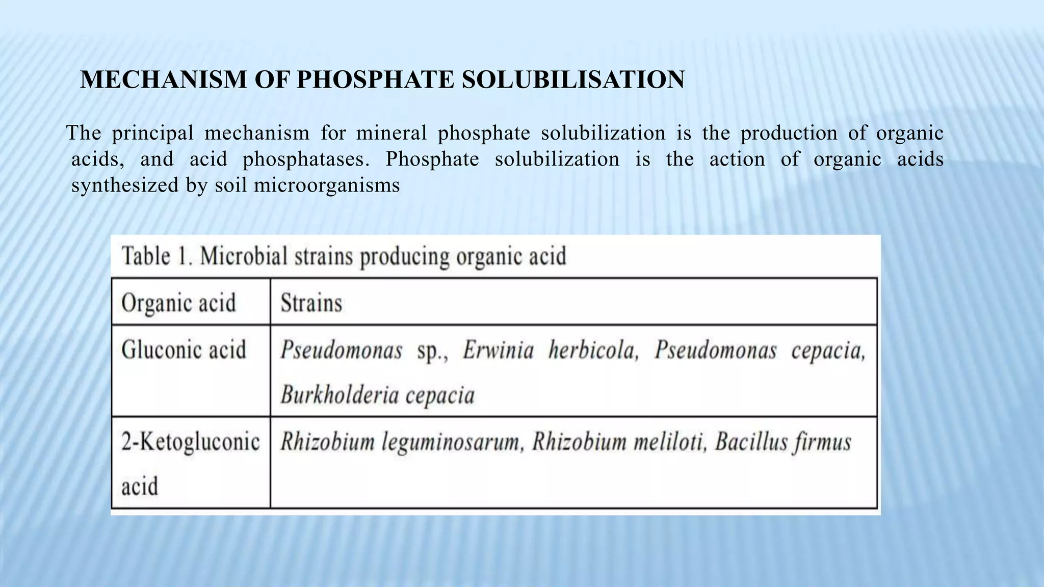 Isolation of phosphate solubilizing bacteria (PSB) from soil Likhith K | PPTX