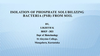 Isolation of phosphate solubilizing bacteria (PSB) from soil Likhith K ...