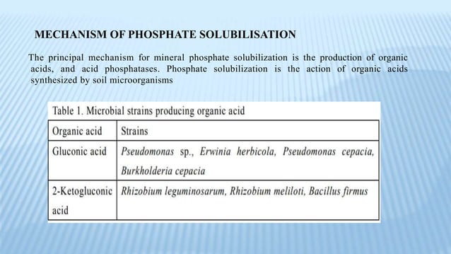 Isolation of phosphate solubilizing bacteria (PSB) from soil Likhith K ...