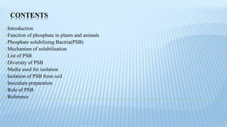 Isolation of phosphate solubilizing bacteria (PSB) from soil Likhith K ...