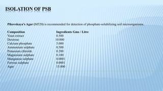 Isolation of phosphate solubilizing bacteria (PSB) from soil Likhith K ...