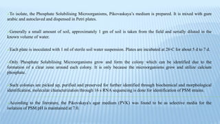 Isolation of phosphate solubilizing bacteria (PSB) from soil Likhith K ...