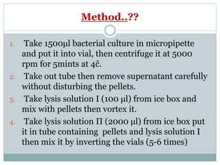 Isolation of Plasmid, isolation of plasmidspptx | PPT