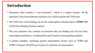 Isolation of promoters and other regulatory elements.pptx