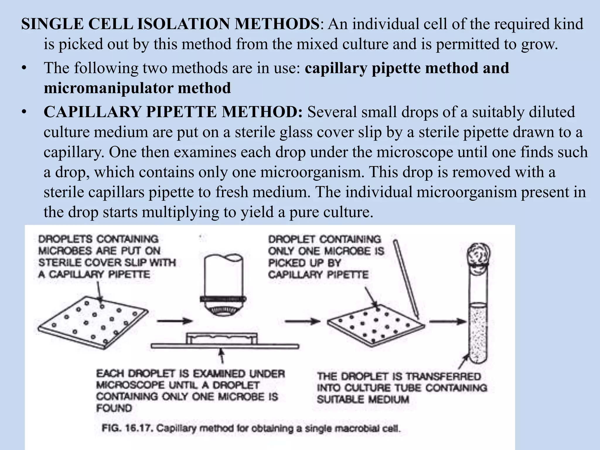Isolation of pure culture | PPT