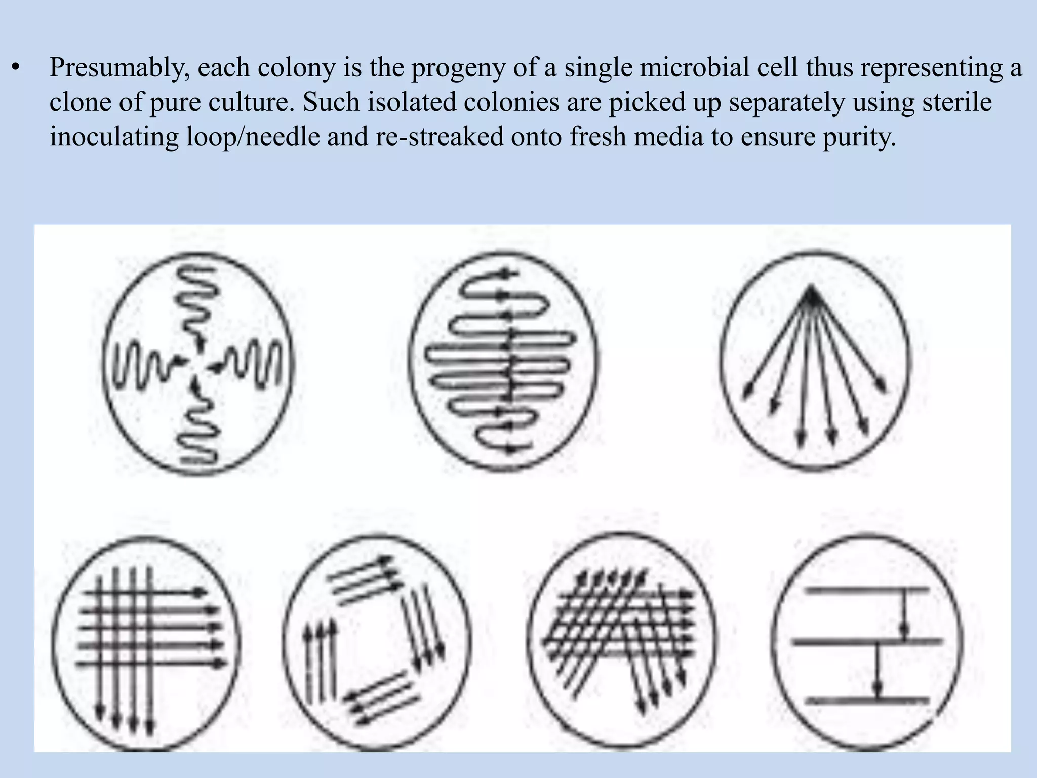 Isolation of pure culture | PPT