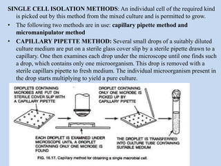 Isolation of pure culture | PPT