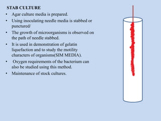 Isolation of pure culture | PPT