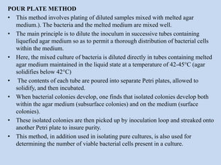 Isolation of pure culture | PPT