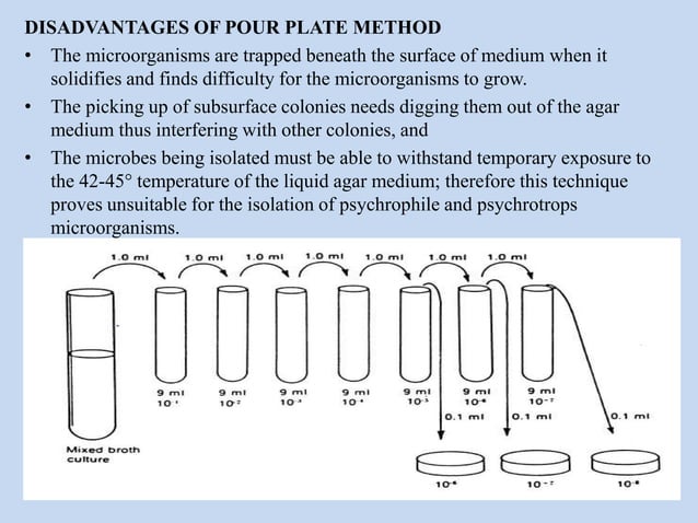 Isolation of pure culture | PPT | Biological Sciences | Science