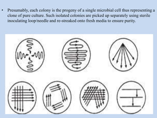 Isolation of pure culture | PPT