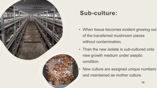 isolation of pure culture.pptx | Gardening | Home & Garden