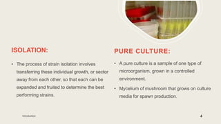 isolation of pure culture.pptx