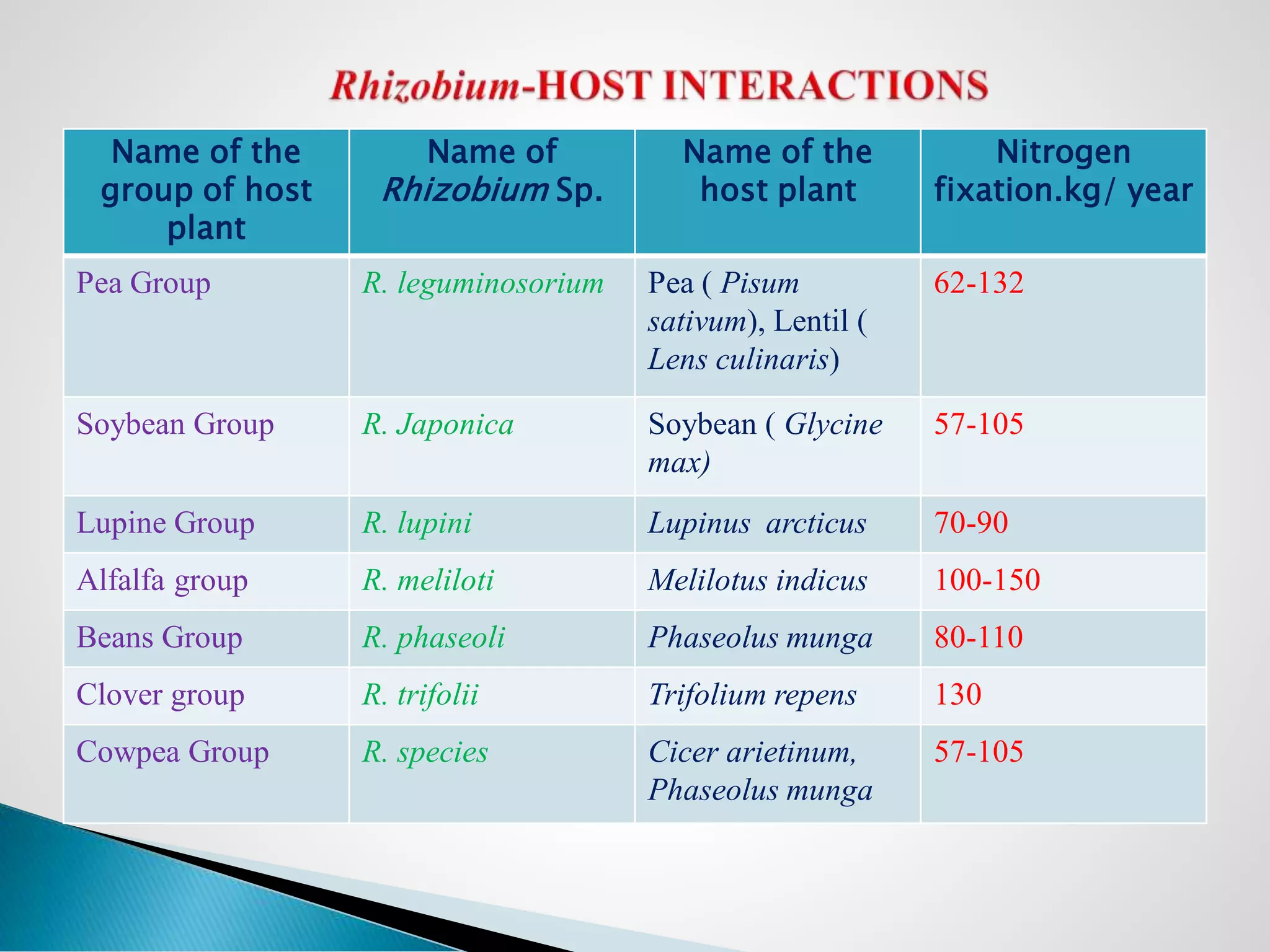 ISOLATION OF Rhizobium.pdf