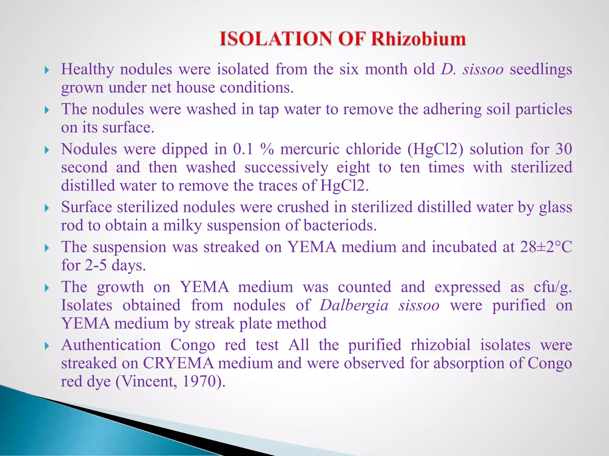 ISOLATION OF Rhizobium.pdf
