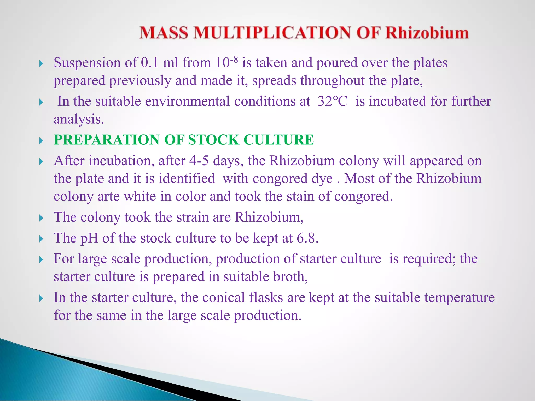 ISOLATION OF Rhizobium.pdf