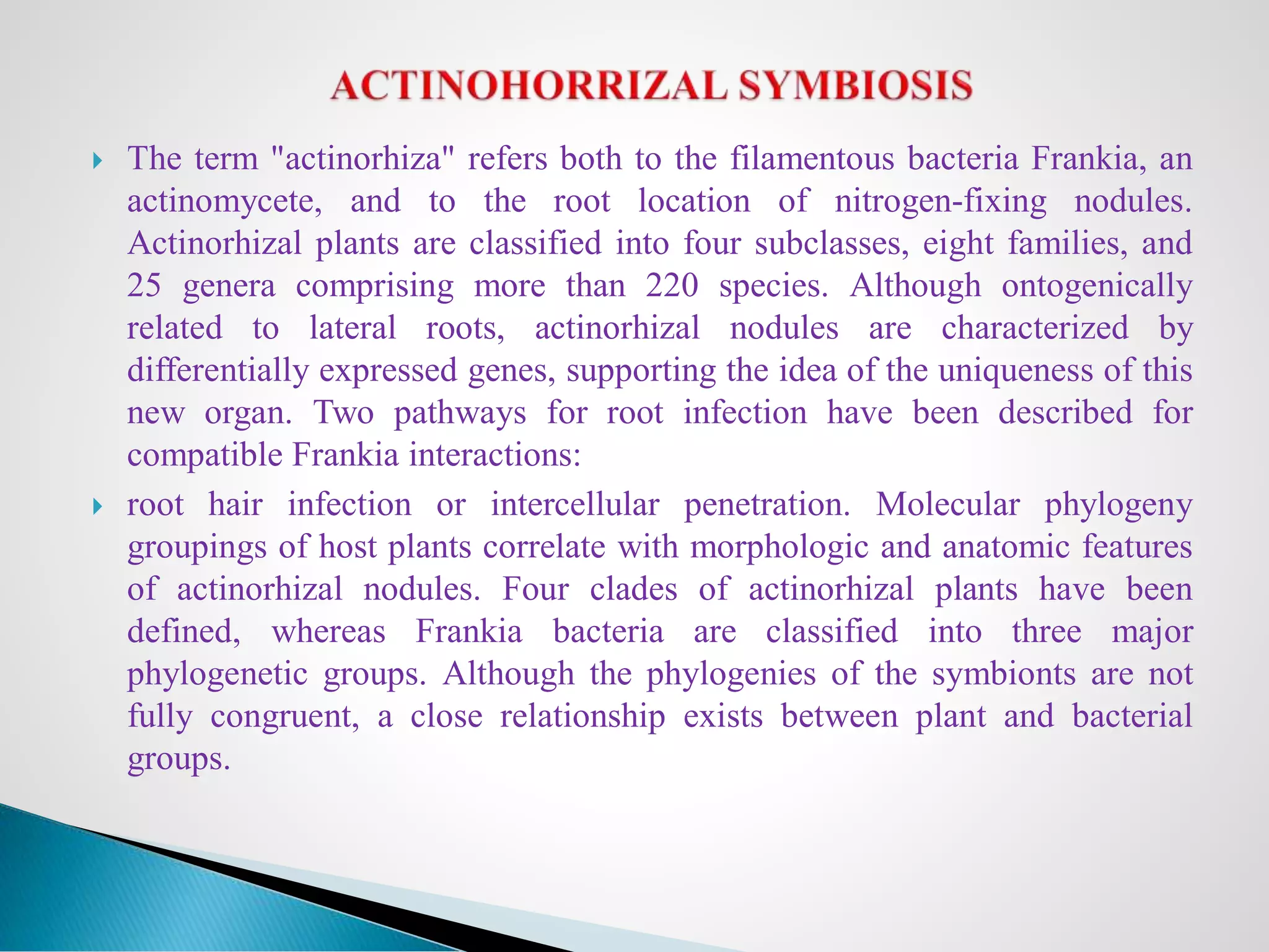 ISOLATION OF Rhizobium.pdf