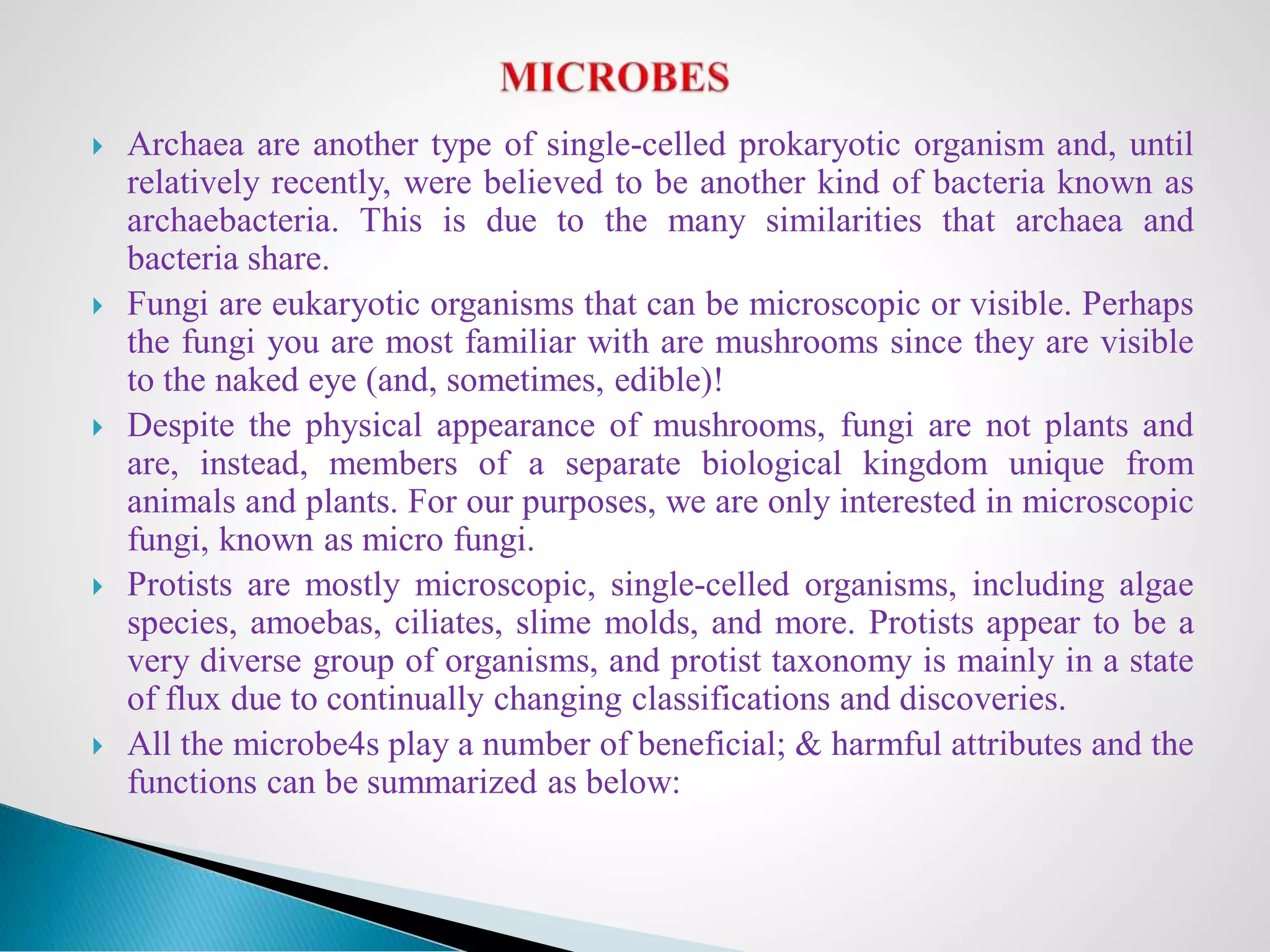 ISOLATION OF Rhizobium.pdf