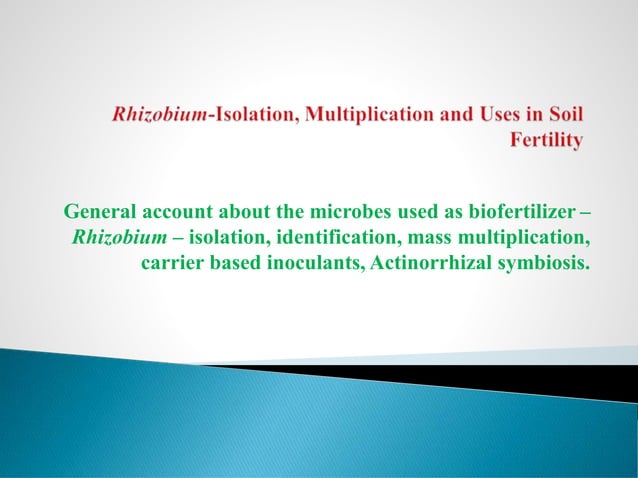 ISOLATION OF Rhizobium.pdf