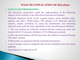 ISOLATION OF Rhizobium.pdf