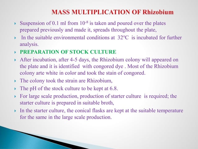 ISOLATION OF Rhizobium.pdf