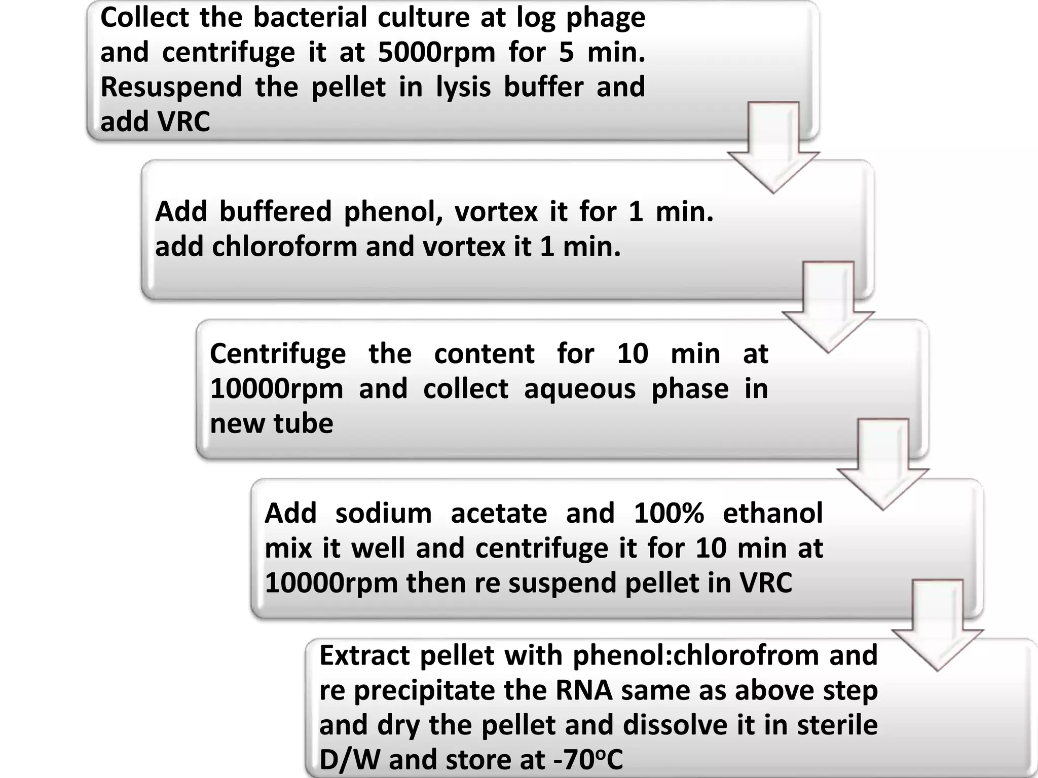 Isolation of RNA | PPTX
