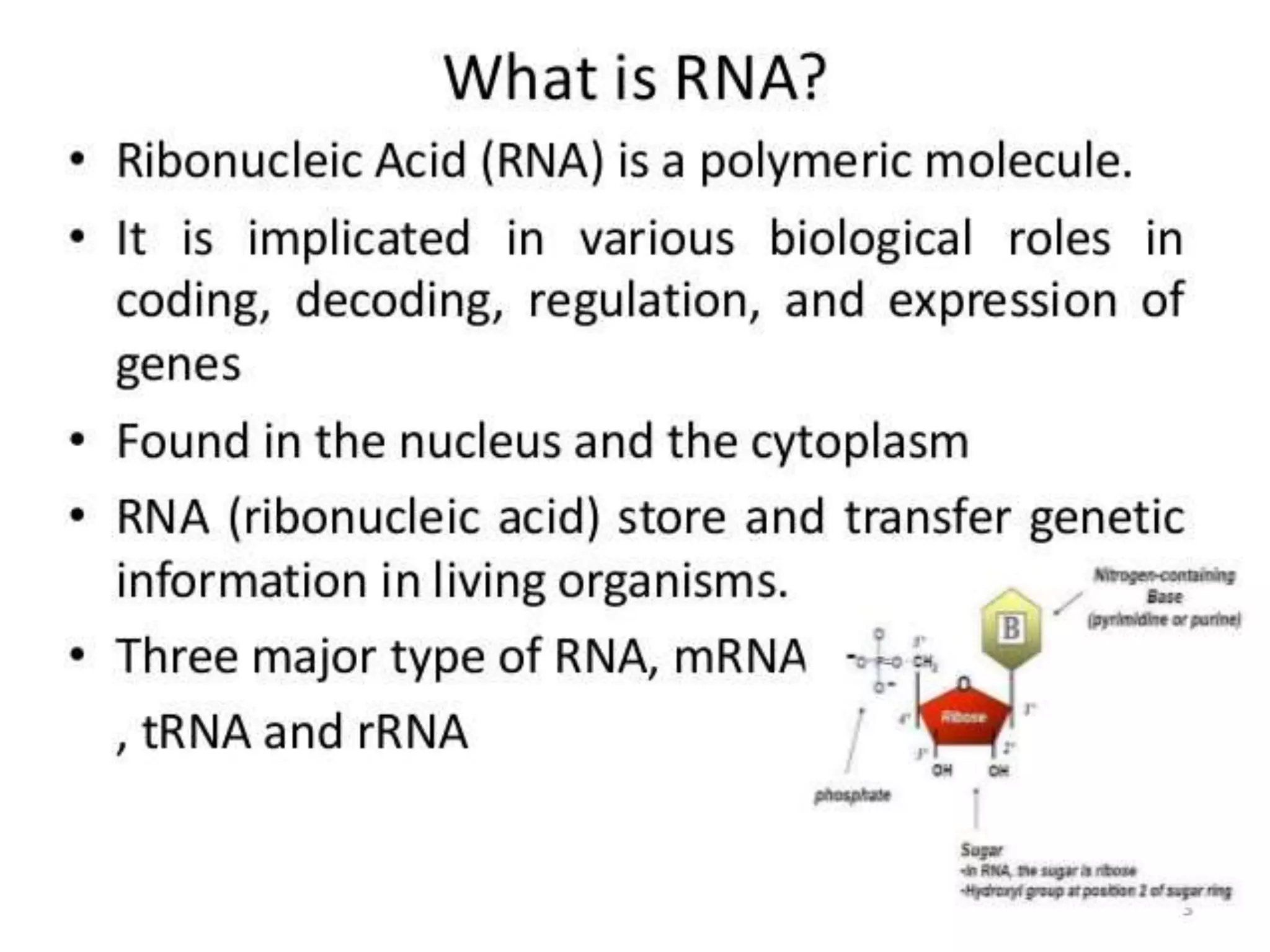 Isolation of RNA | PPTX