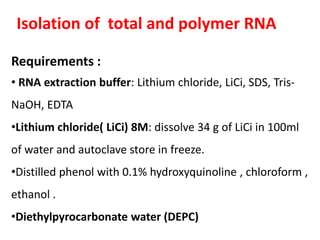 Isolation of RNA | PPTX