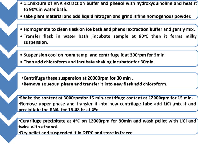 Isolation of RNA | PPTX | Chemistry | Science