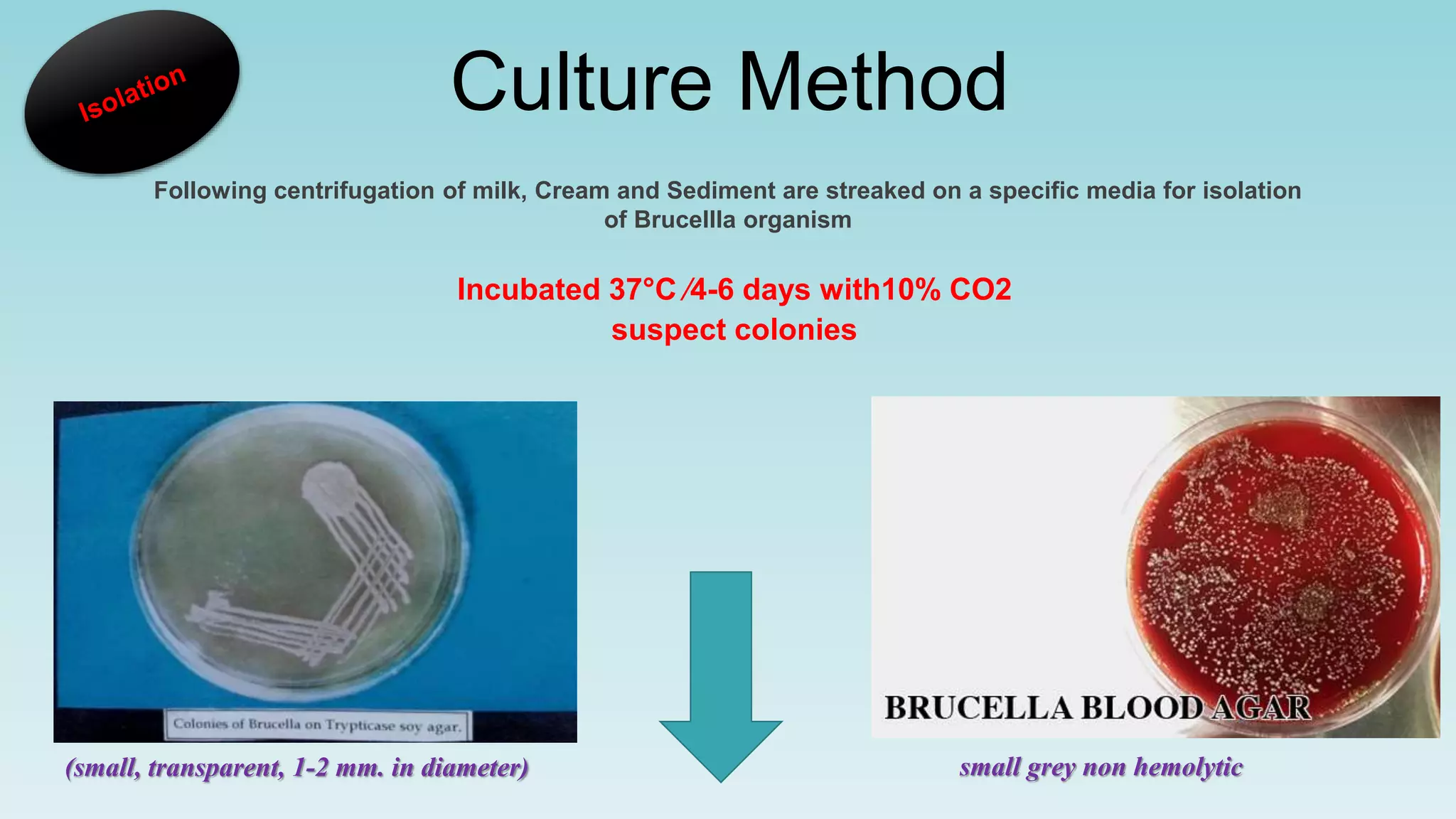 Isolation of some pathogens from milk | PPT