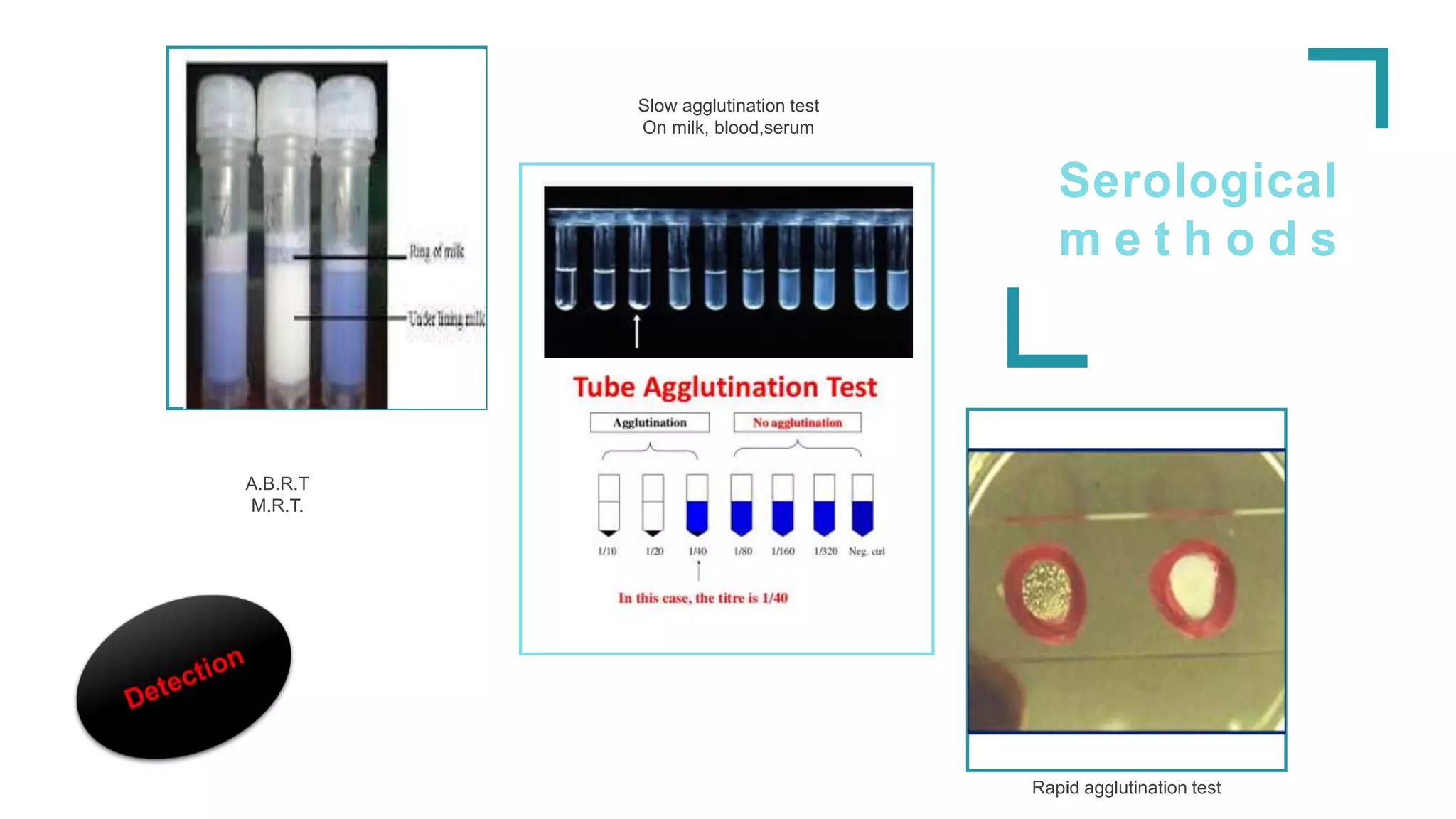 Isolation of some pathogens from milk | PPT