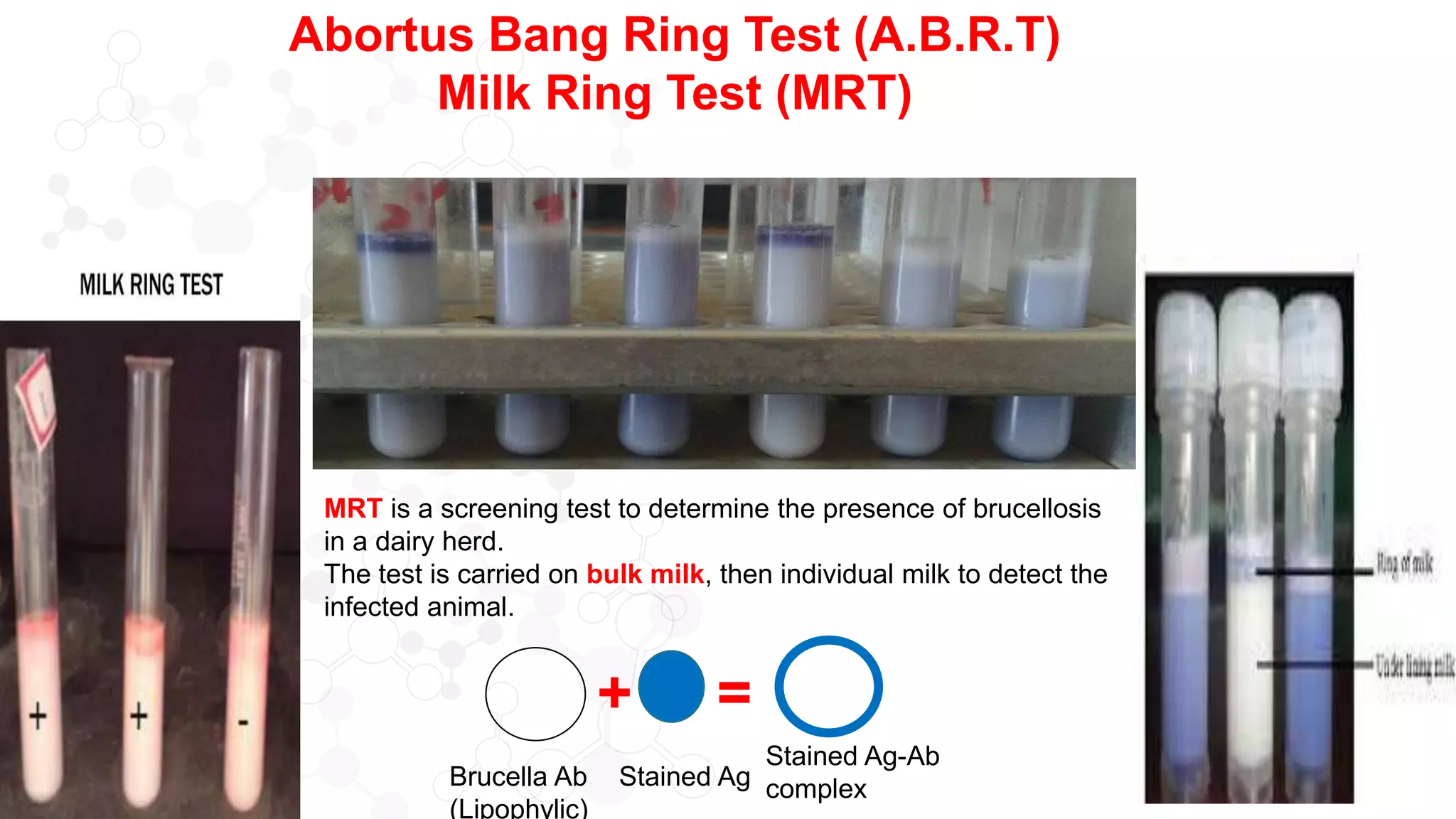 Isolation of some pathogens from milk | PPT