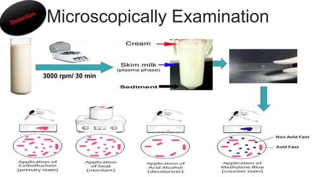 Isolation of some pathogens from milk | PPT